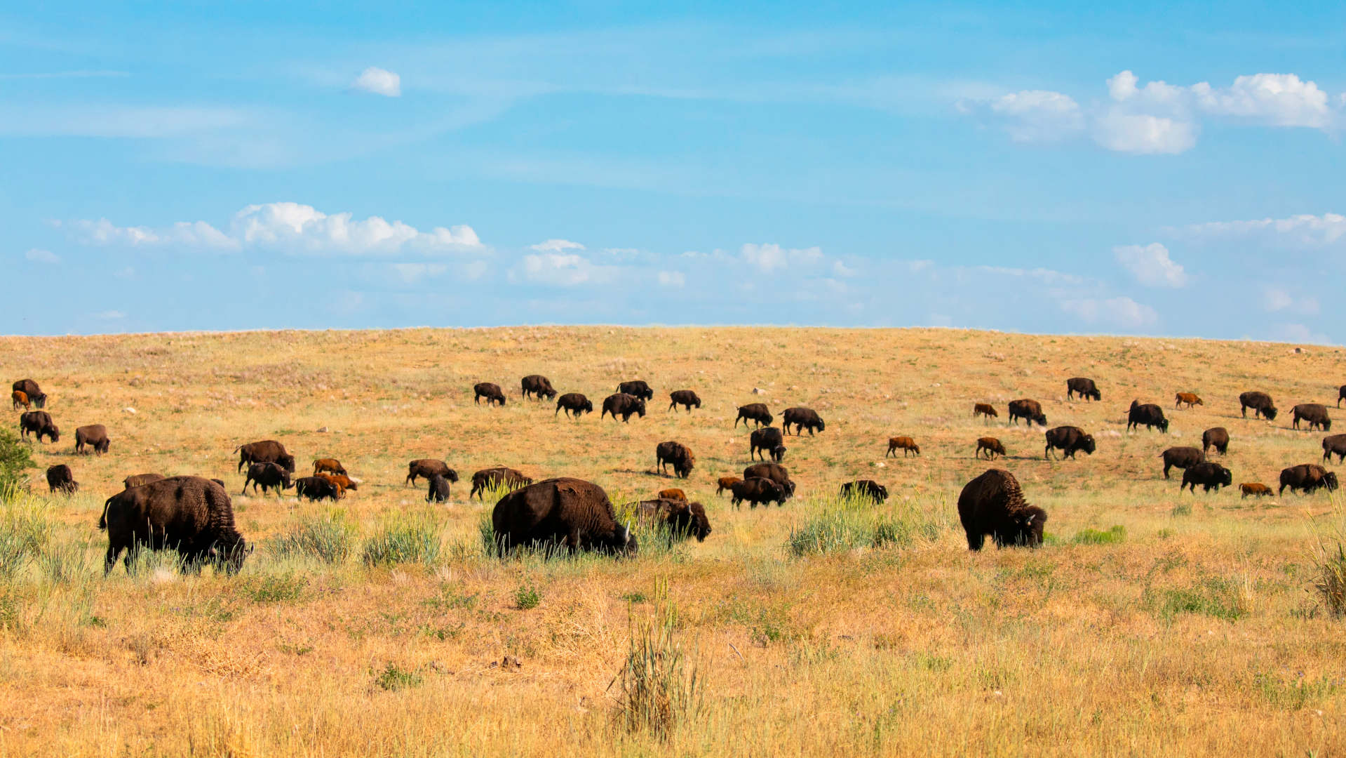 Login - Utah Tech IT Helpdesk