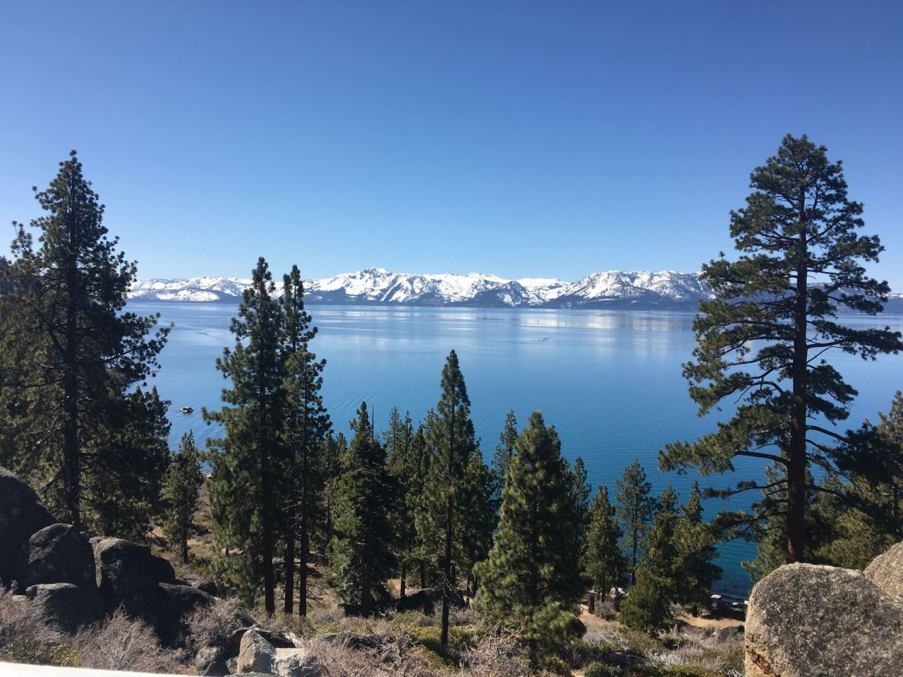 Access Nevada