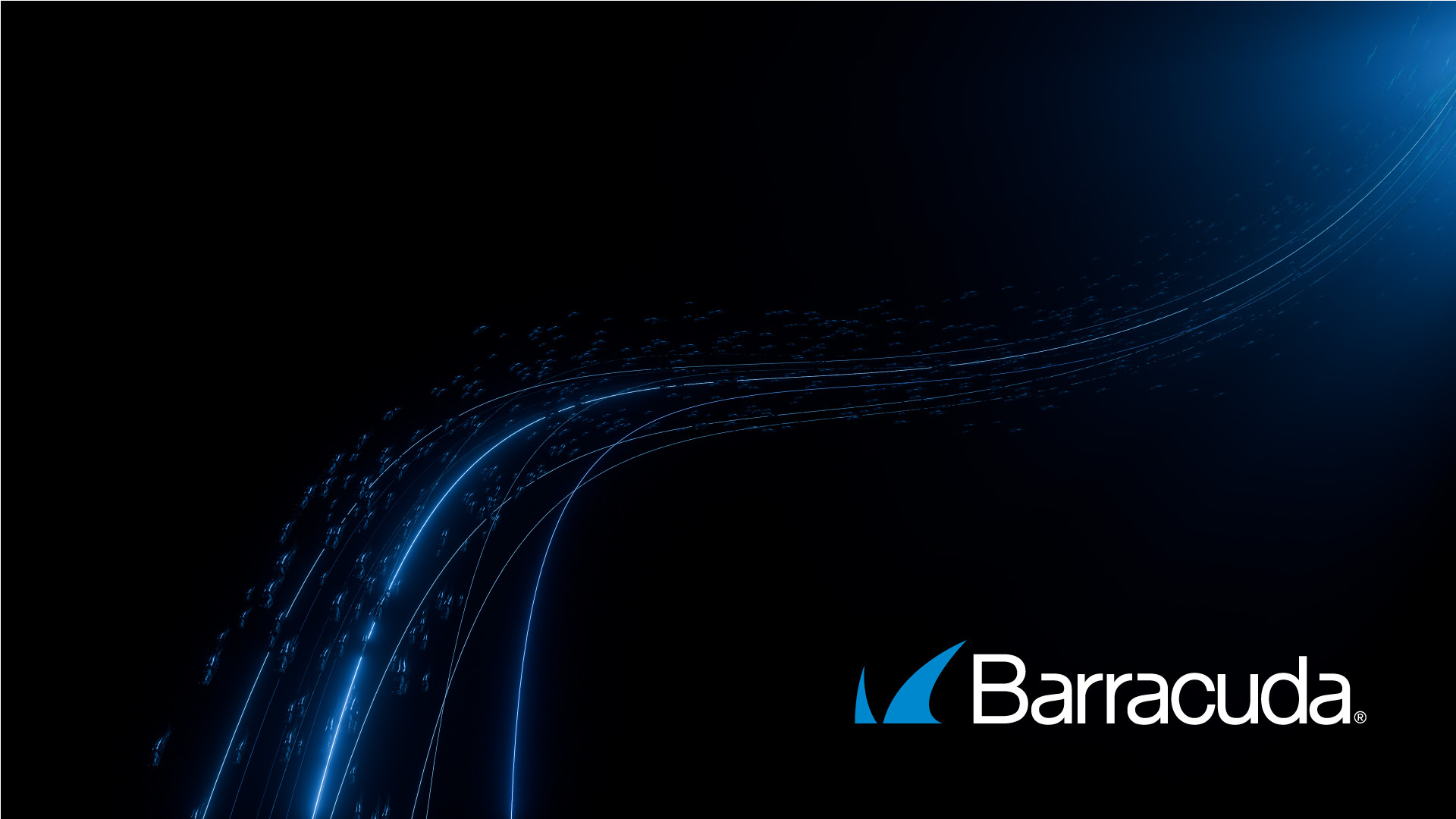 Barracuda AI